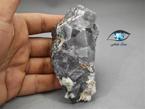 راف فلوریت با بلورهای کوبیک 251 گرم سنگ شناس