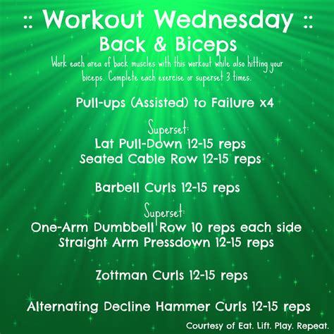 Back And Bicep Dumbbell Workout At Home Off 56