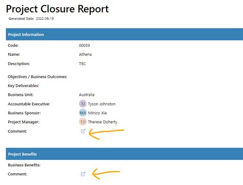 Inline Editing On Reports PPO Support Portal
