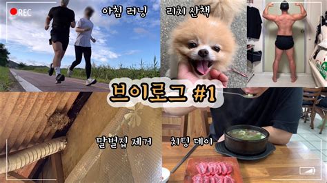 달리기는 즐겁지만 말벌은 무서운 주말 치팅데이 브이로그 Ep1 Youtube