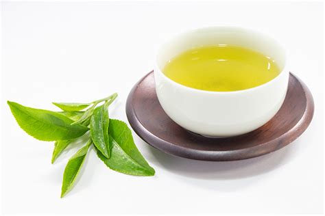 일본차의 종류와 효능 정리 전통차의 기본 Osaka Metro Nine