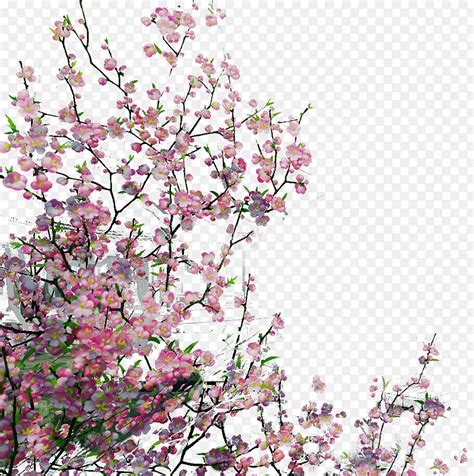 花红色花树植物素材PNG图片素材下载 图片编号yemadnrz 免抠素材网