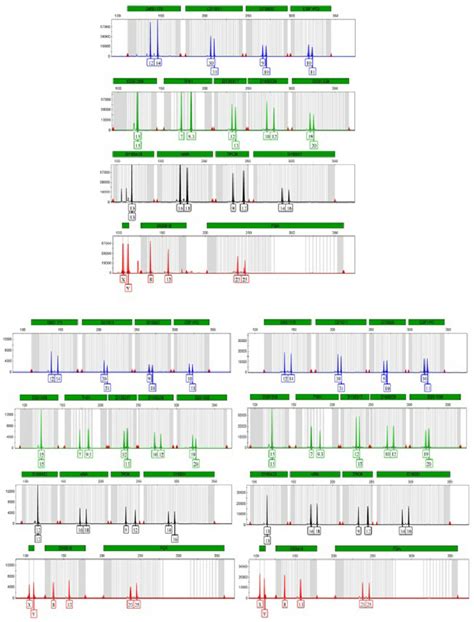 DNA Profile Of A Man Whose DNA Was Detected In Blood From Two