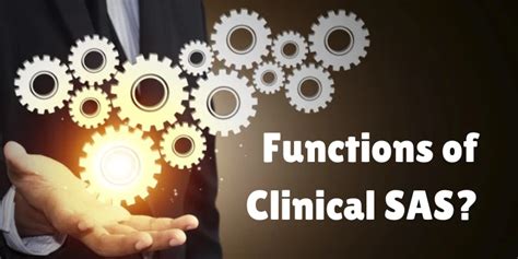 What Are The Functions Of Clinical Sas