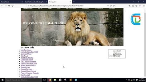 web design full project html and css for beginners css project