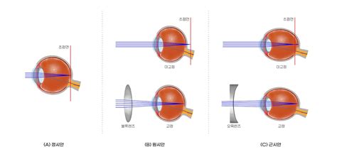 시각의 과학 상 맺기 고등과학원 Horizon