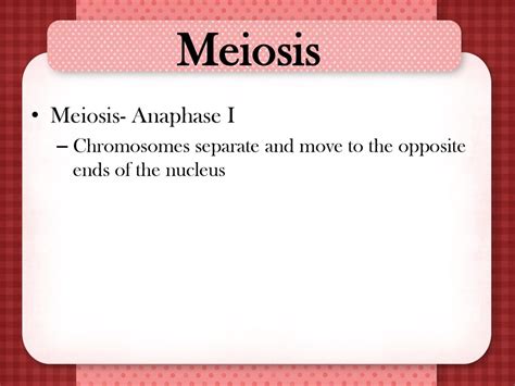 Nuclear Division Of Sex Cells Ppt Download