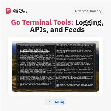 dwarves foundation on linkedin golang tooling dwarves software