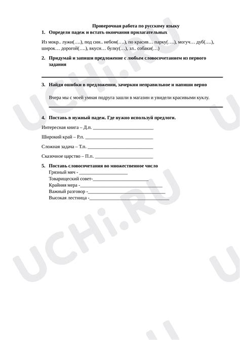 🖍 Проверочная работа №5 по теме “Проверочная работа по русскому языку