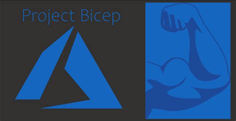 the microsoft platform using project ‘bicep preview to create arm