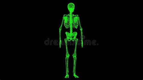 3d Skeleton Rotates On Black Bg Object Dissolved Green Flickering Particles 60 Fps Stock Video