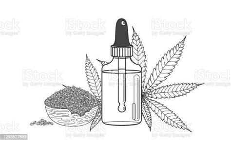 마리화나 또는 대마초 잎 그릇에 씨앗 대마 씨 오일 병 흰색 배경에 손으로 그린 선 스케치 스타일의 벡터 그림 에센셜 오일에