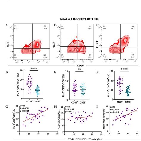 Cd36⁺cd8⁺ T Cells Exhibit Immunosuppressive State A C The Expression