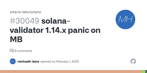 Solana Validator 114x Panic On Mb · Issue 30049 · Solana Labssolana