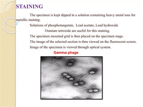 Electron Microscope Ppt Pptx