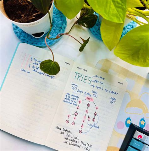 How To Teach Yourself Data Structures And Algorithms The Code Dose