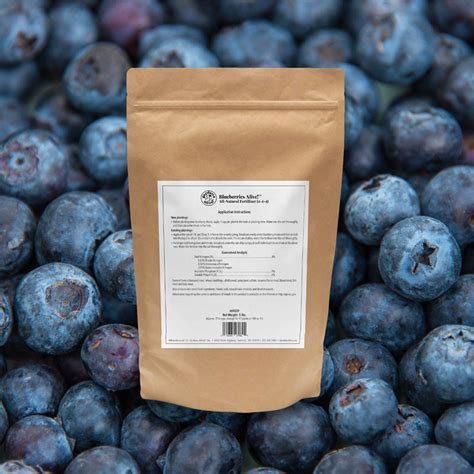 Best Fertilizer For Raspberries And Blueberries Raspberry
