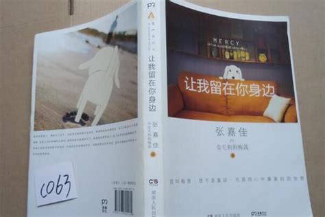 张嘉佳八大经典小说排名 刀见笑上榜第五销量极高排行榜123网