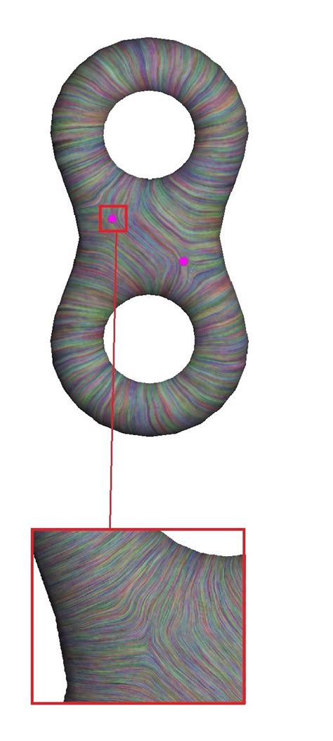 An − 1 2 Indexed Singularity In The 2 Rosy Field On The Double Torus Download Scientific