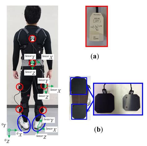 dynamic motion analysis using a wearable sensor system in a