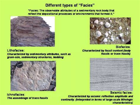 Vdocument In Sedimentary Geology Geos 240 Chapter 6 Facies Analysis Ppt