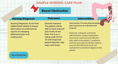 Bowel Obstruction Nursing Diagnosis And Care Plan Nursestudynet