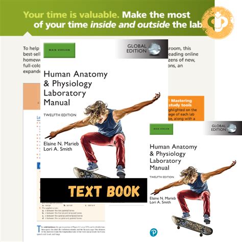 Latest Textbook Human Anatomy And Physiology Laboratory Manual Inspire