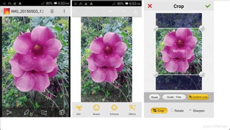 How To Crop An Image In Windows 10 Linux MacOS IOS Or Android