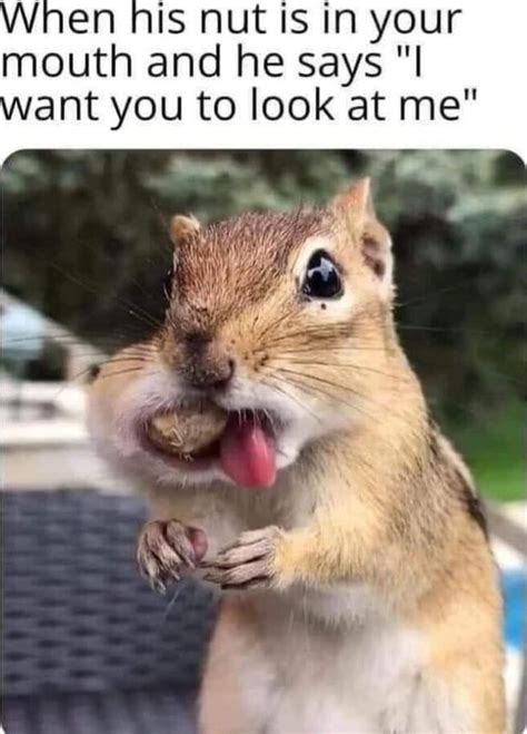 When His Nut Is In Your Mouth And He Says Want You To Look At Me Ifunny