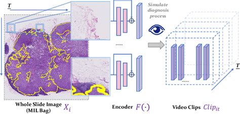 figure 3 from transformer based video structure multi instance learning