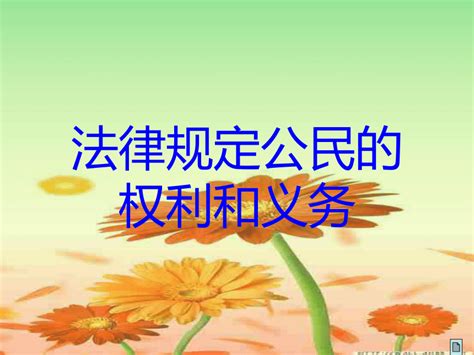 法律规定公民的权利和义务课件下载 道德与法治 21世纪教育网