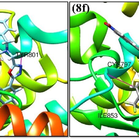 Docking Poses Of Potent Compounds 8e And 8f With The Target