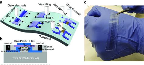 general concept and design a sketch of the intrinsically stretchable