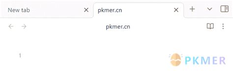 Pkmer Obsidian 样式 标题栏样式美化