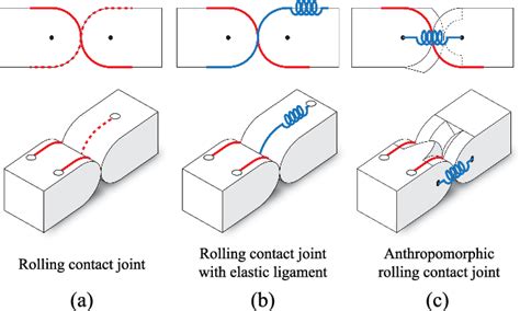 Figure 1 From Arc Joint Anthropomorphic Rolling Contact Joint With Kinematically Variable