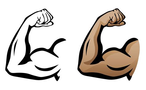 Muscular Arm Flexing Bicep Vector Illustration 373376 Vector Art At
