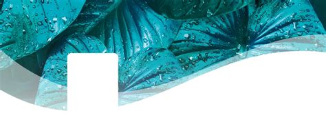 Rainforest Air Mist Febreze Air