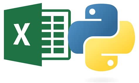 data entry cleaning modeling analysis visualization by excel and