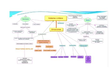Mapa Mental Sistema Limbico Pdf