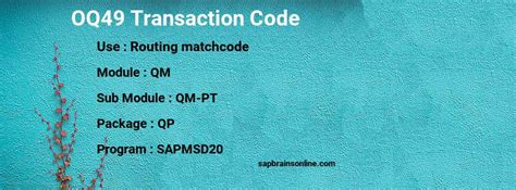 OQ SAP Tcode For Routing Matchcode