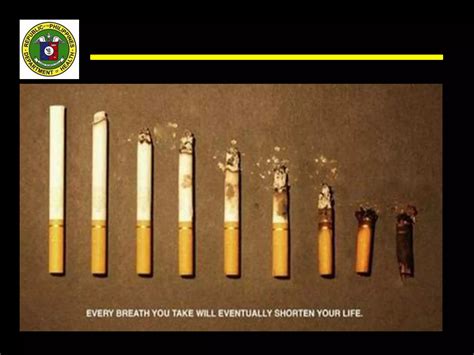 Copd And Smoking Cessation Pptx Smoking Cessation Wellness