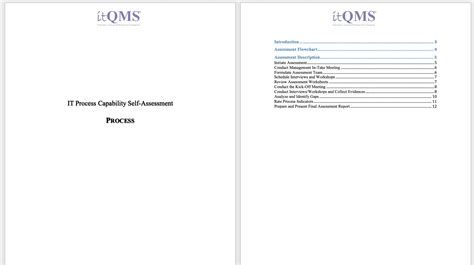 It Process Maturity Self Assessment Toolkit 25 Processes It Qmscom