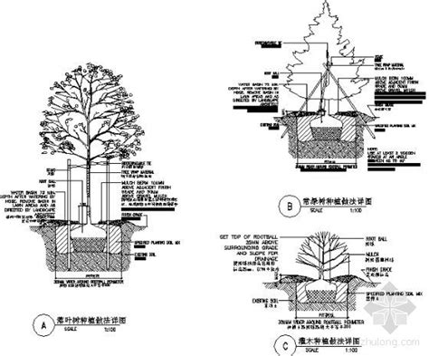 种植做法详图 园林景观节点详图 筑龙园林景观论坛