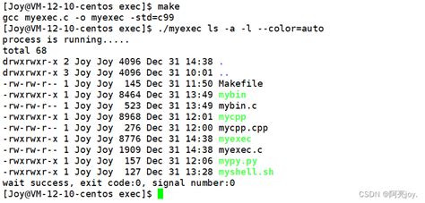 【linux】进程程序替换及shell的模拟实现（下 阿里云开发者社区