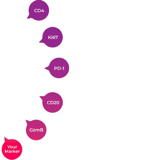 Phenocode Signature Panels Akoya Biosciences