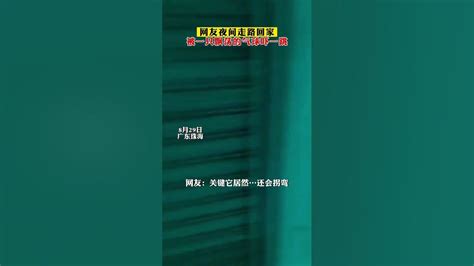网友夜间走路回家，被一只自行飘荡且还会拐弯的气球吓一跳！热点 气球 Youtube