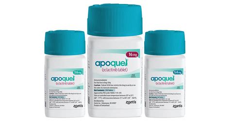 Fda Approves Apoquel In Chewable Option Todays Veterinary Business