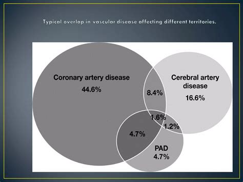 Chronic Lower Limb Ischemia Ppt