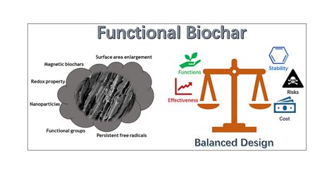 Functional Biochar And Its Balanced Design Acs 50 Off