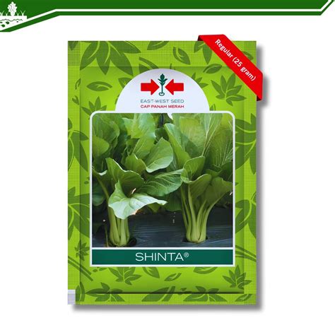 Jual Benih Bibit Sawi Caisim Shinta Cap Panah Merah 25 Gram Biji Cesim